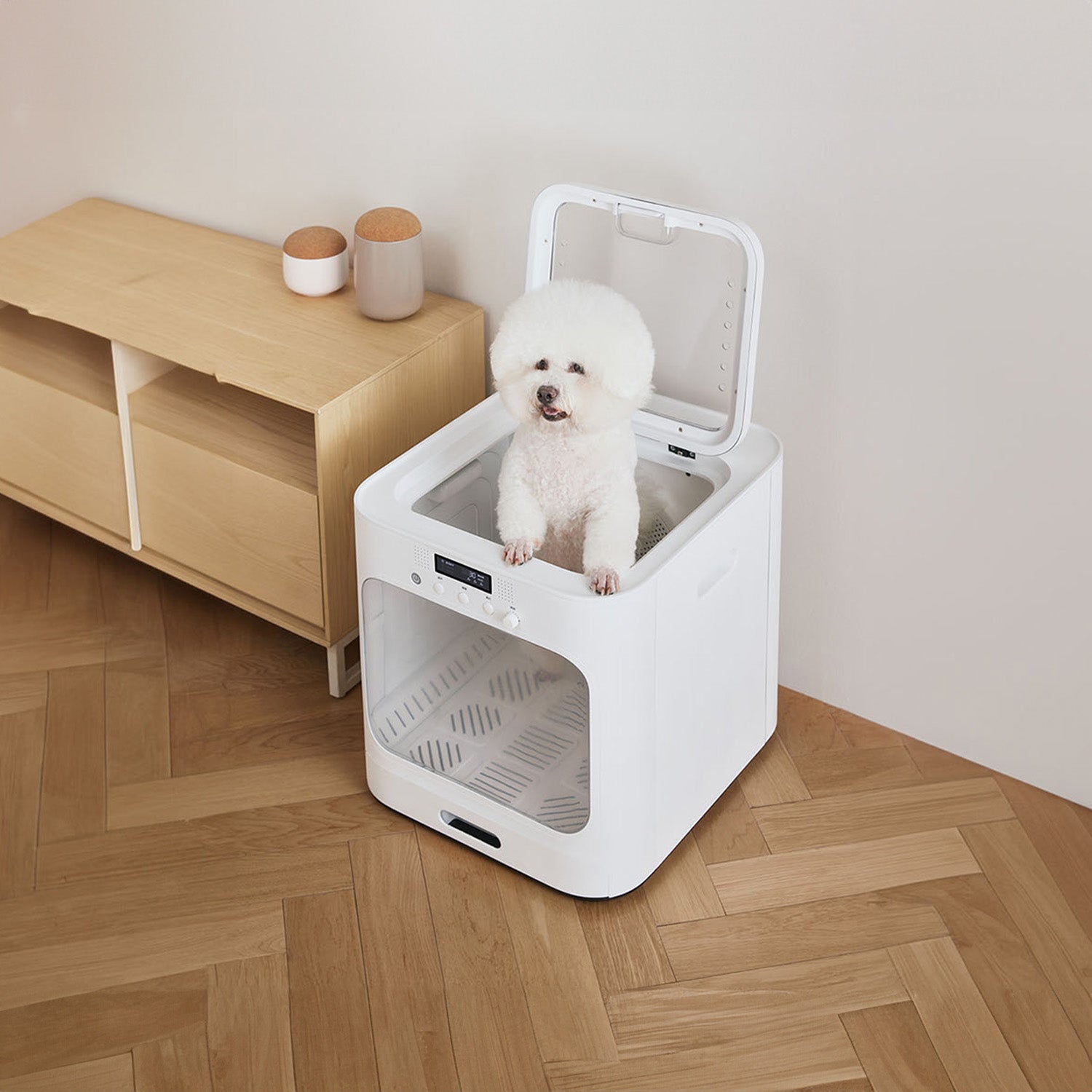 7 Tips for Bathing Your Pet Correctly at Home – Instachew