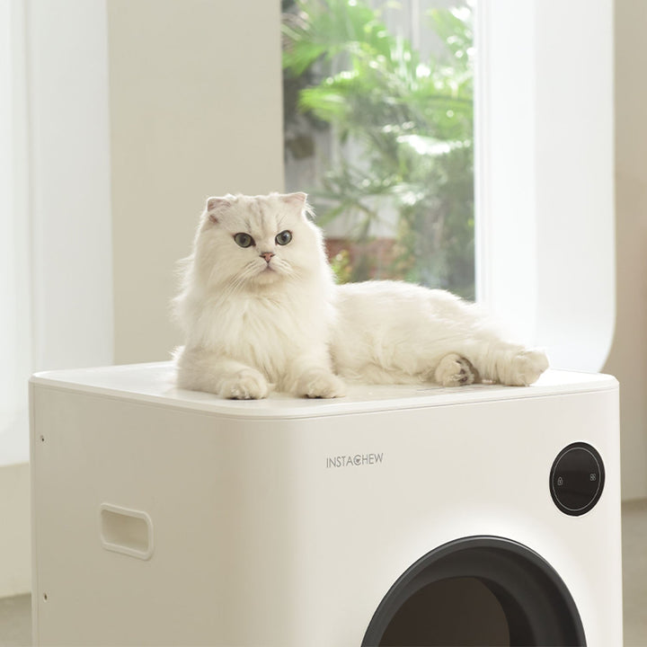 Pet Care Made Easy | Instachew.com