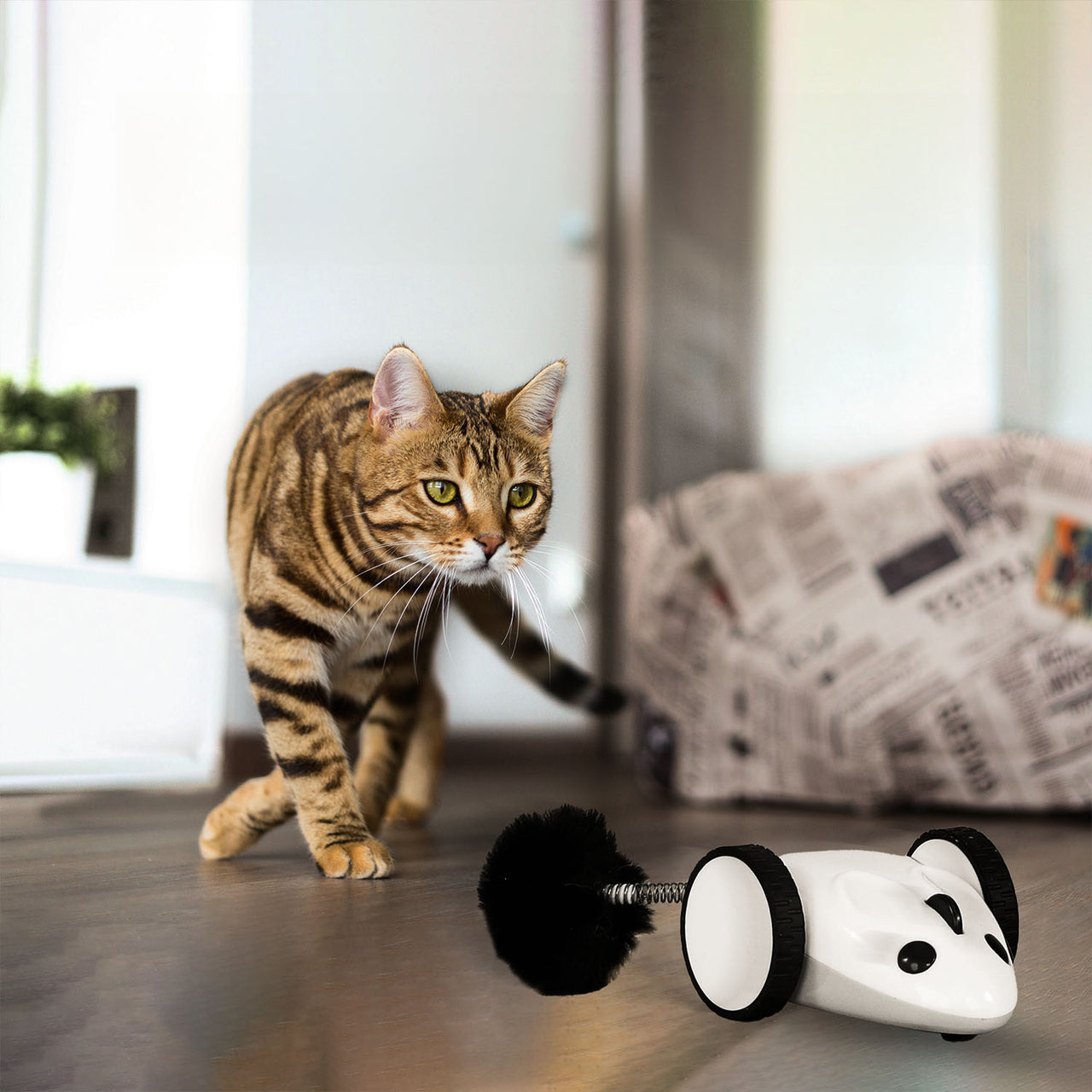 Pet Care Made Easy | Instachew.com