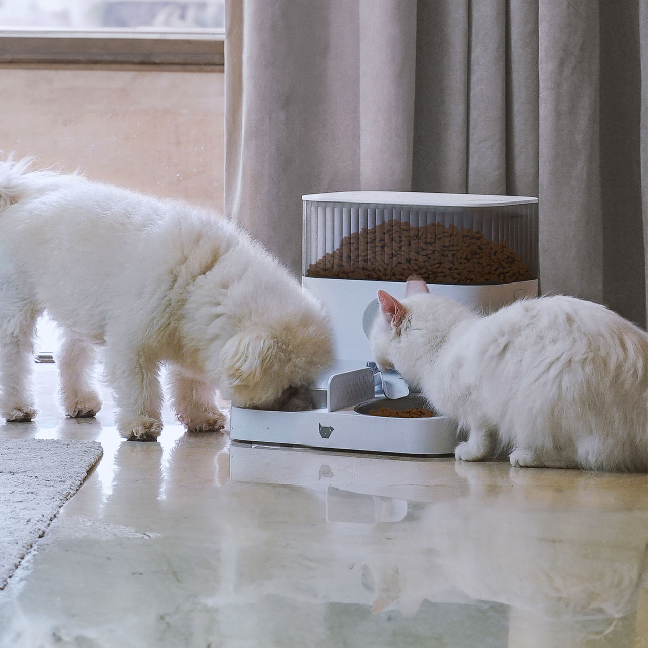 Pet Care Made Easy | Instachew.com