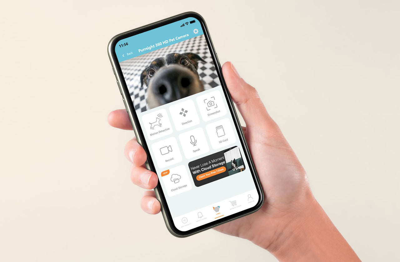 Purrsight 360° Smart App Pet Camera with Night Vision〡Instachew.com