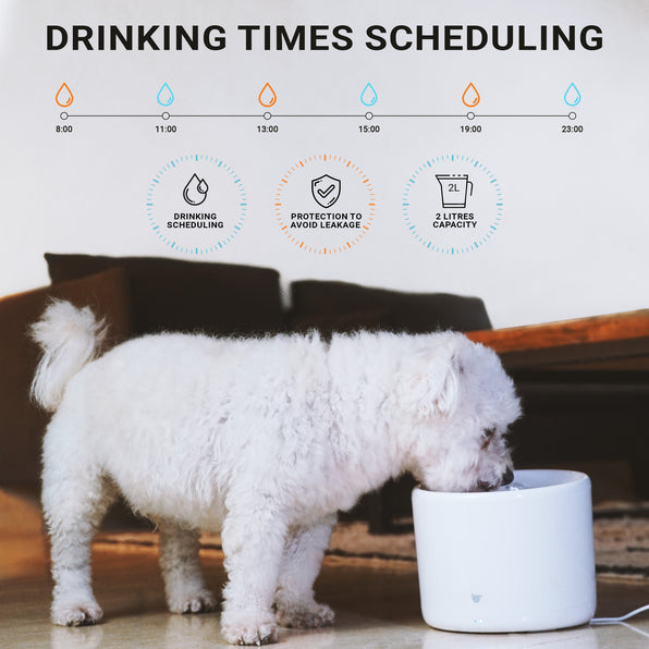 Pet Care Made Easy | Instachew.com