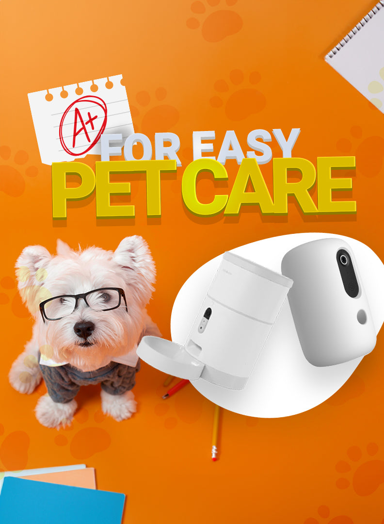 Pet Care Made Easy | Instachew.com