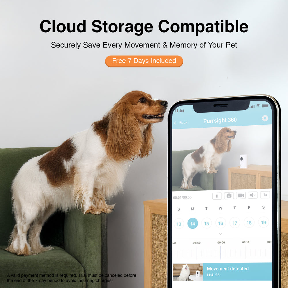 Purrsight 360° Smart App Pet Camera with Night Vision〡Instachew.com