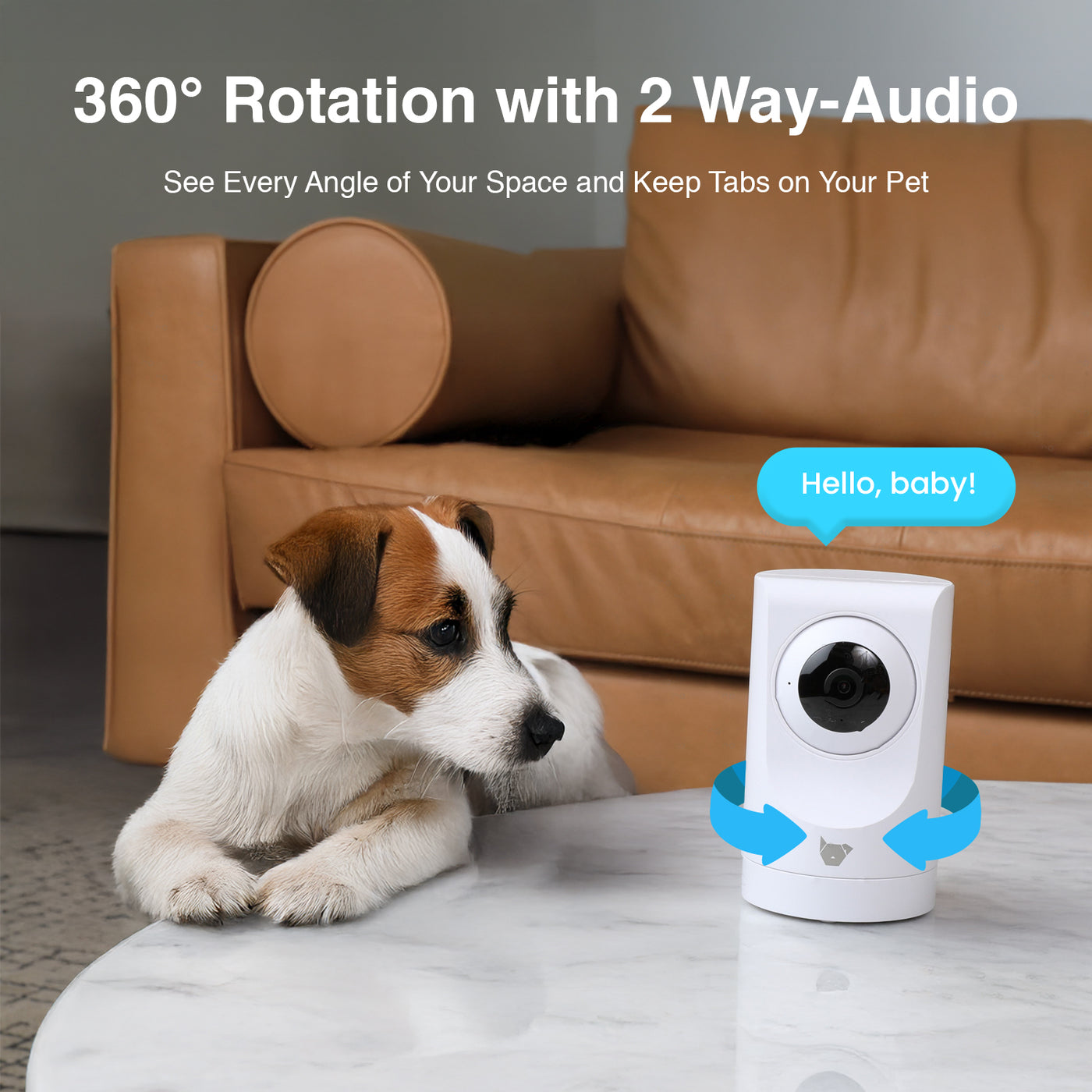 Purrsight 360° Smart App Pet Camera with Night Vision〡Instachew.com