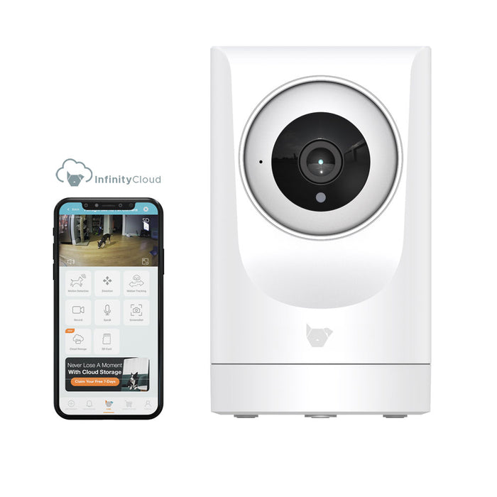 Purrsight 360° Smart App Pet Camera with Night Vision〡Instachew.com