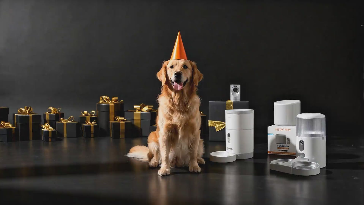 Pet Care Made Easy | Instachew.com